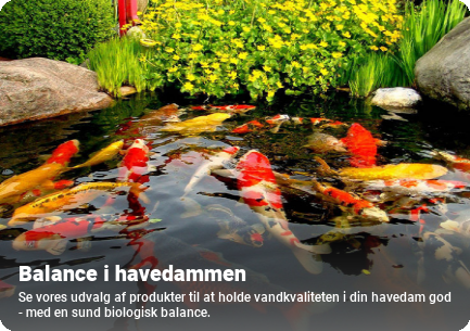 Vand & fiskepleje - KOIMAD.dk